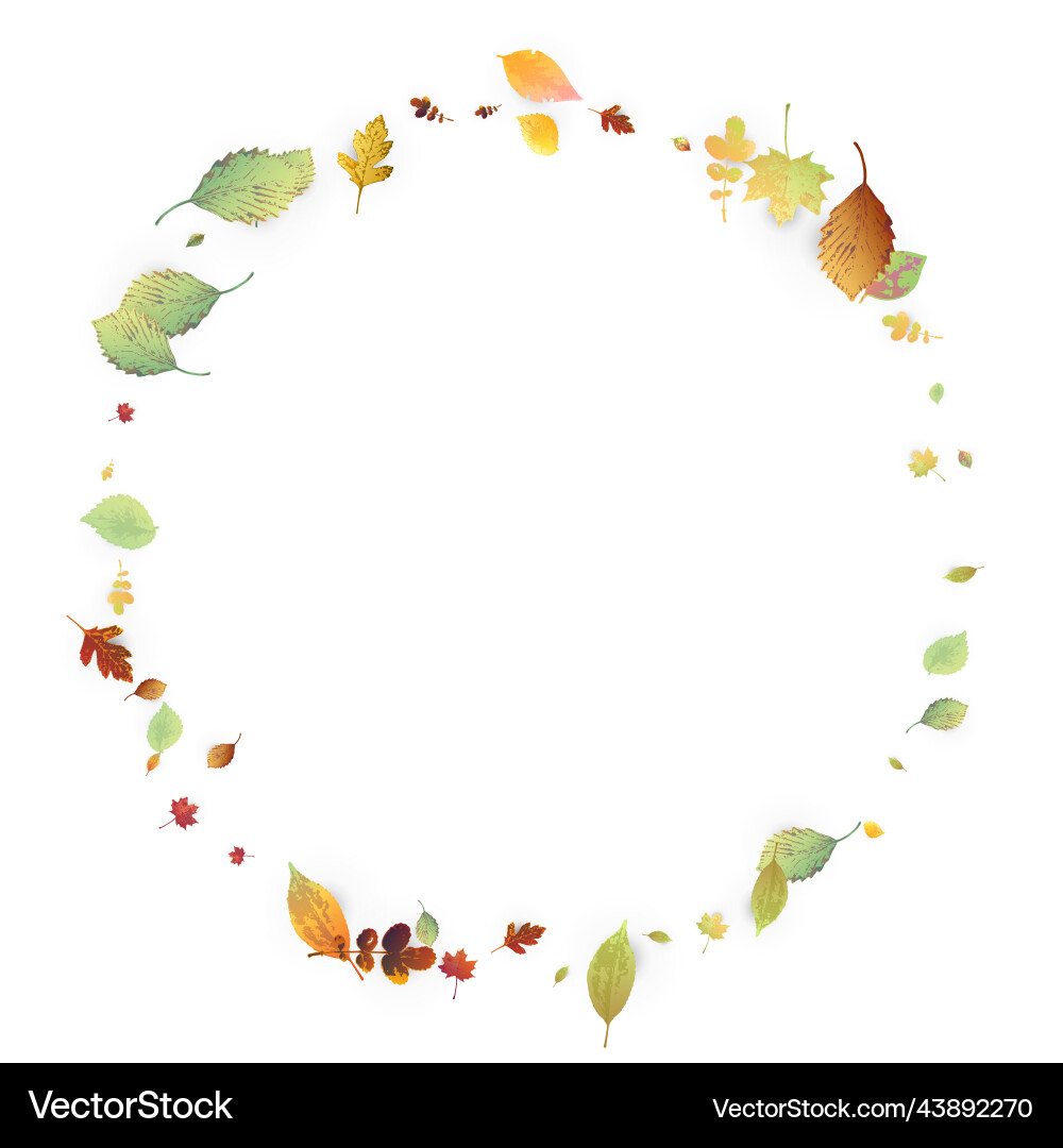 Leaves falling autumn foliage chaotic leaf flying Vector Image