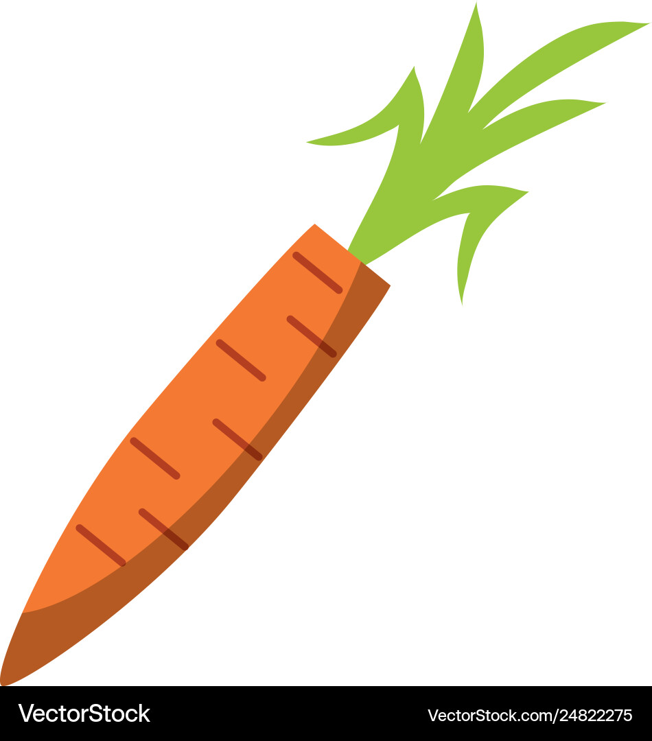 Carrot fresh vegetable food Royalty Free Vector Image