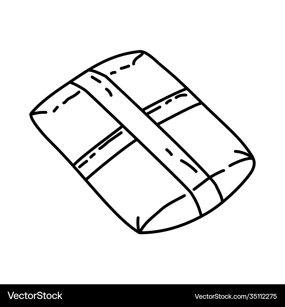 Package icon doodle hand drawn or outline icon Vector Image