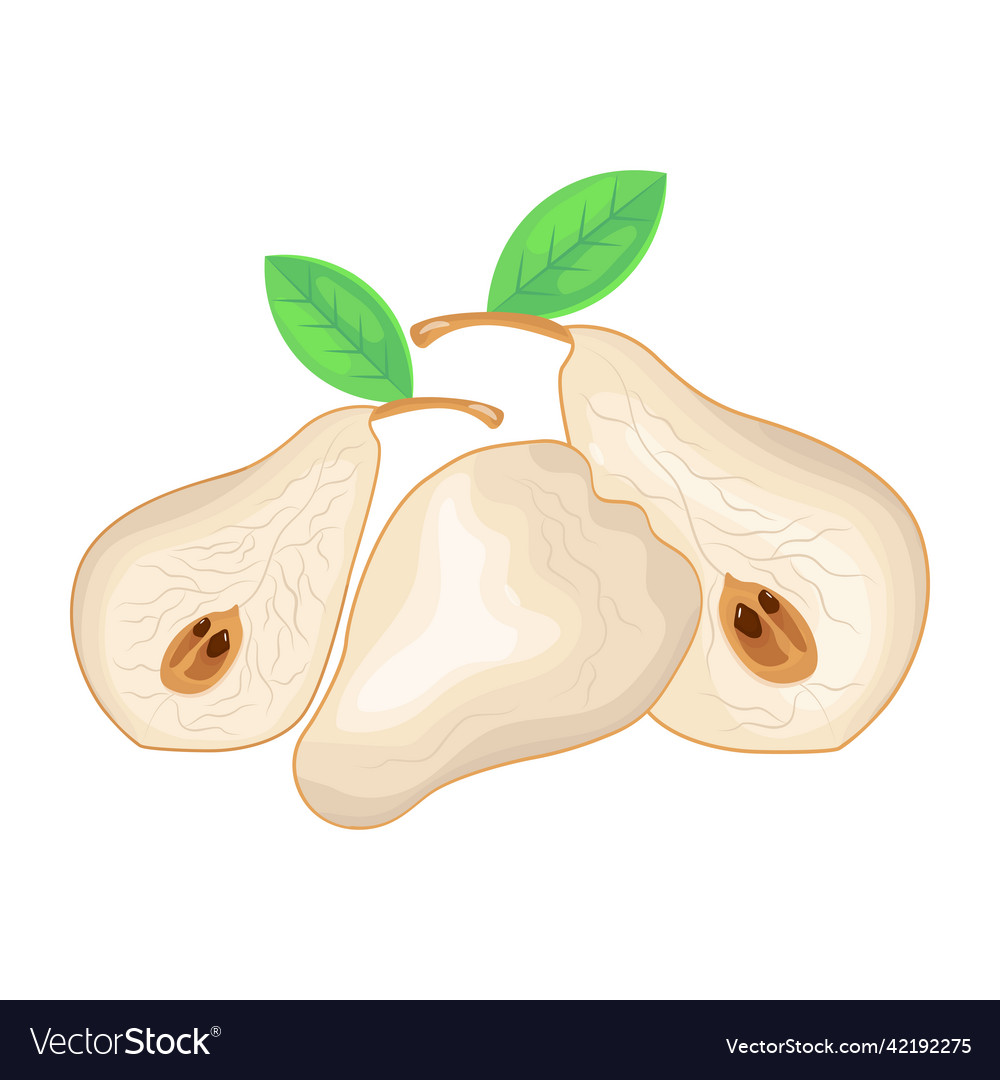 Pears Royalty Free Vector Image - VectorStock