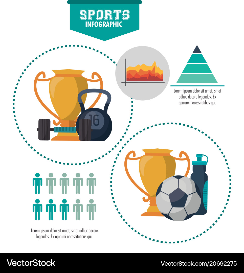 Sports infographic design Royalty Free Vector Image
