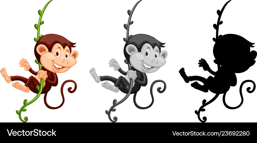 Set of monkey hanging on vine Royalty Free Vector Image