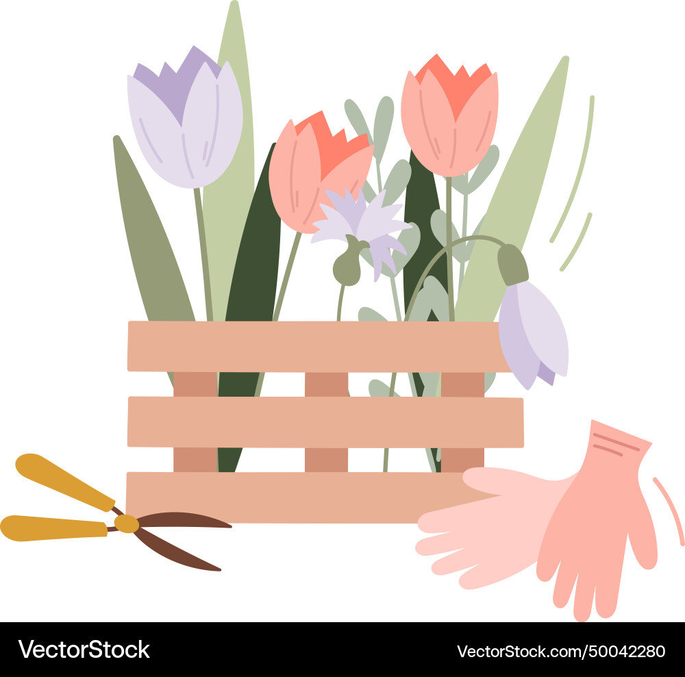 Spring flowers in wooden box Royalty Free Vector Image