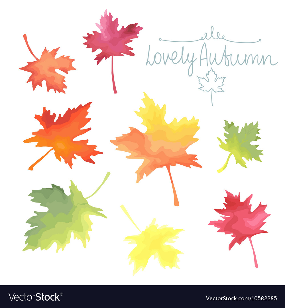 Autumn maple leaves Watercolor imitation in Vector Image