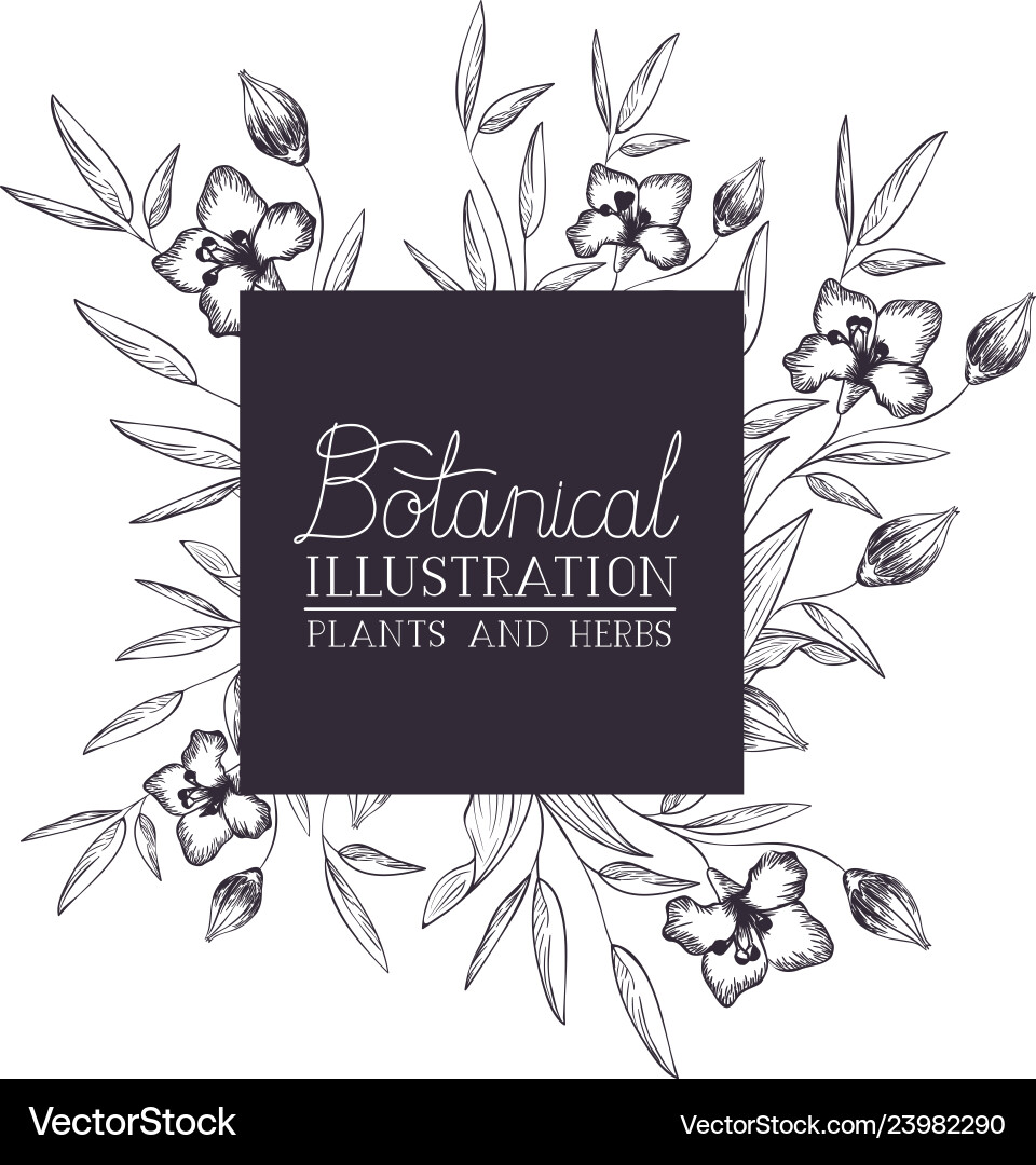Botanical label with plants and herbs Royalty Free Vector