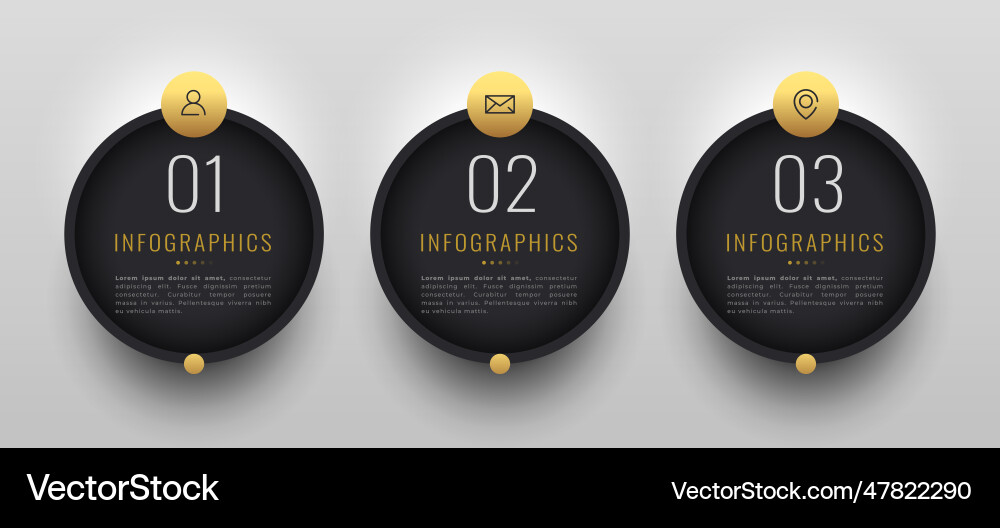 Professional infographic premium banner with 3 Vector Image