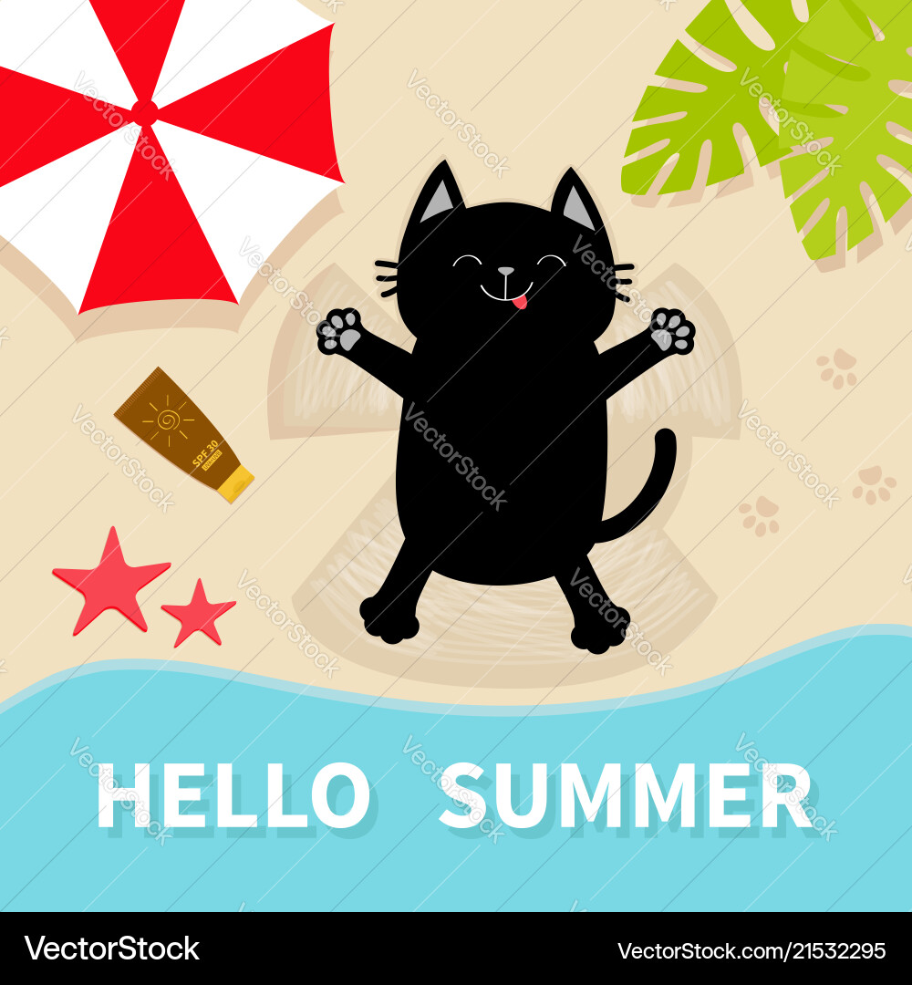 Black cat sunbathing on the beach making sand Vector Image
