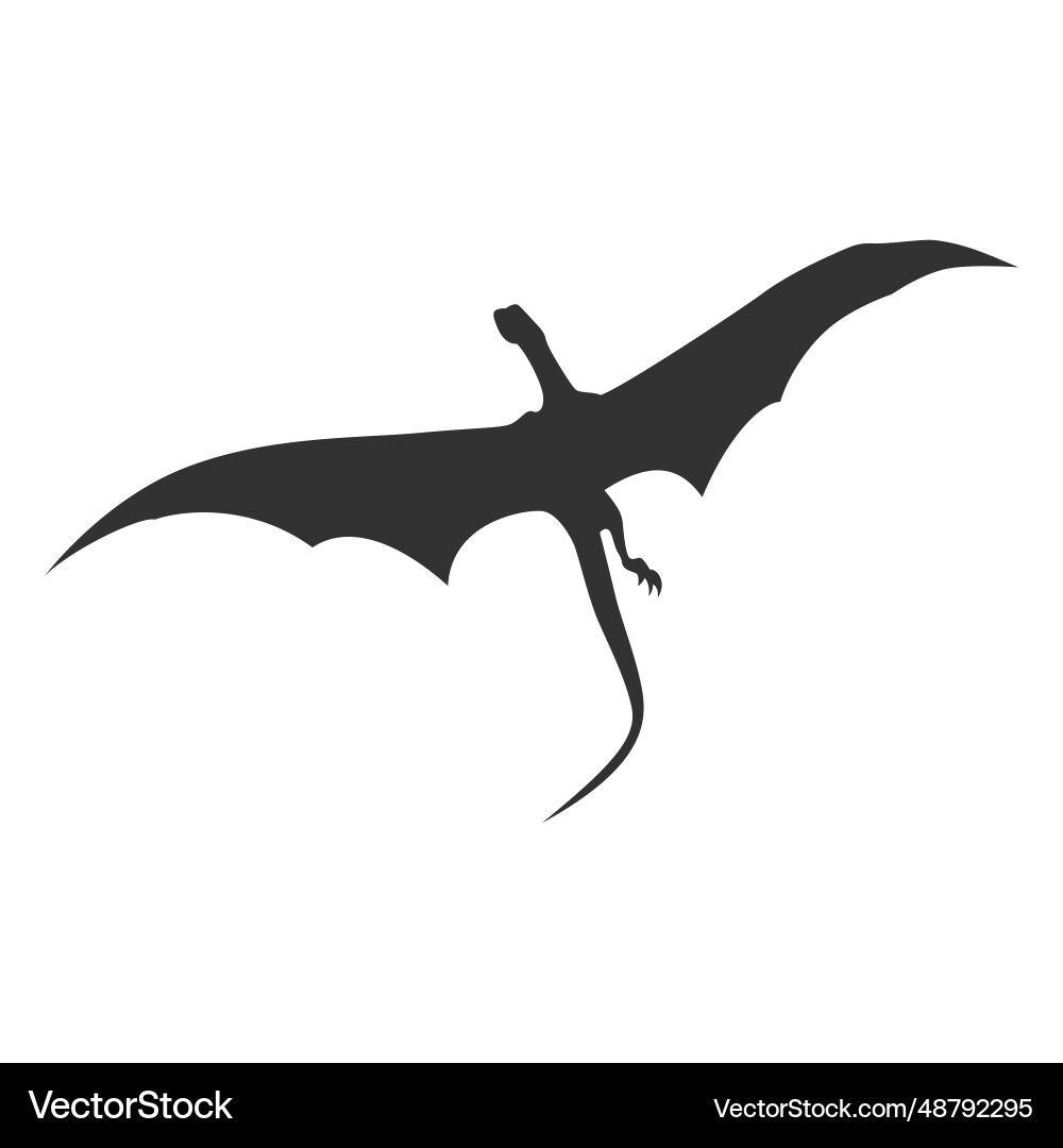 Dragon bottom view silhouette Royalty Free Vector Image