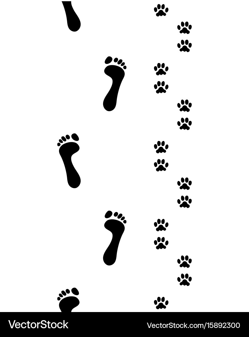 Feet and dog paws Royalty Free Vector Image - VectorStock