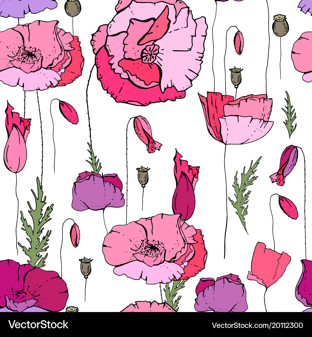 Seamless floral pattern with romantic poppy Vector Image