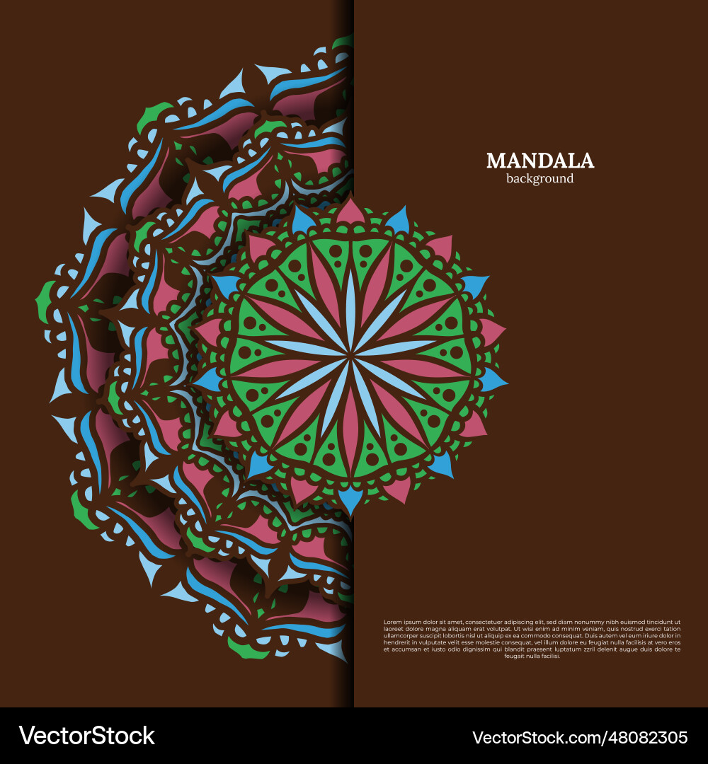 Indian floral paisley ornament pattern ethnic Vector Image