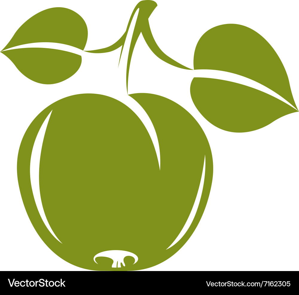 Single green simple apple with leaves ripe Vector Image