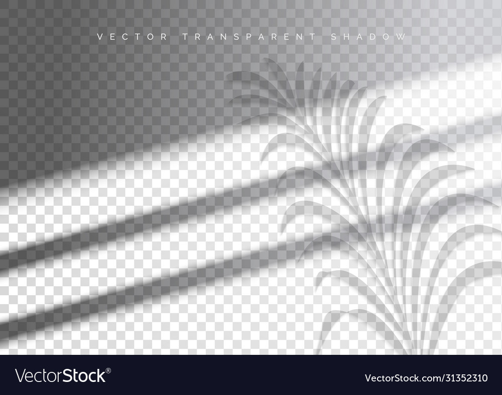 Transparent shadow overlay effect tropic leaf Vector Image Transparent shadow overlay effect tropic leaf Vector Image
