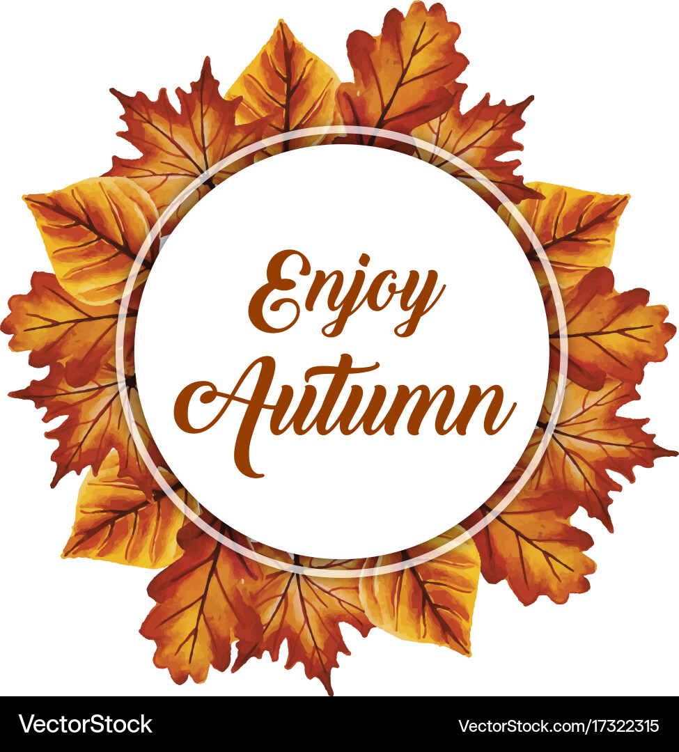 Autumn logo collection Royalty Free Vector Image