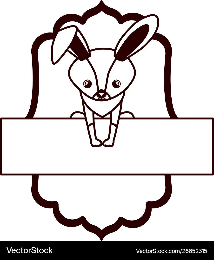 Cute and adorable bunny with frame Royalty Free Vector Image