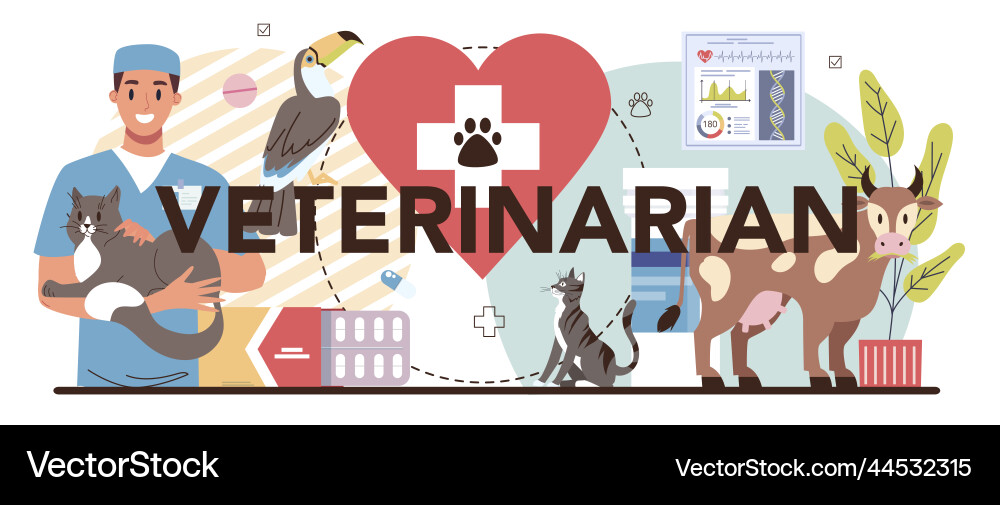 Veterinarian typographic header veterinary doctor Vector Image