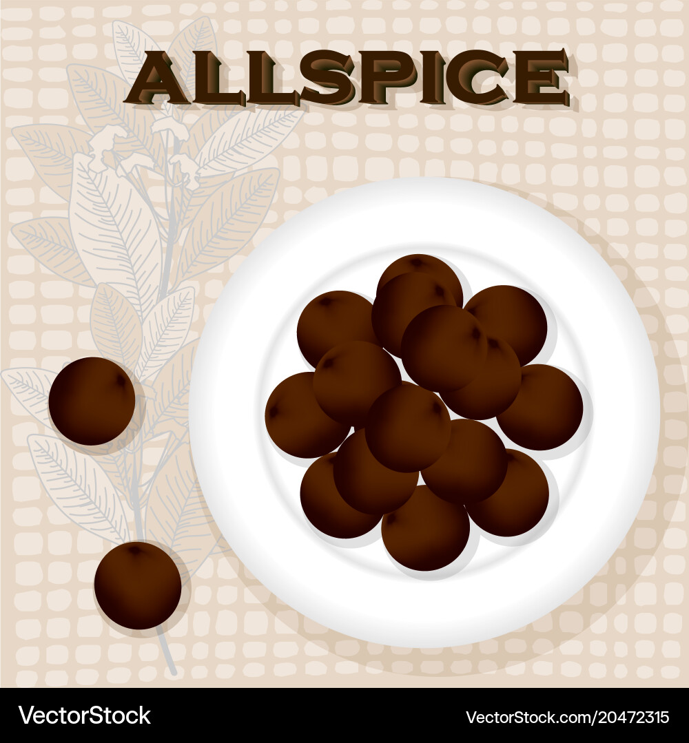 Vintage label for allspice pepper Royalty Free Vector Image