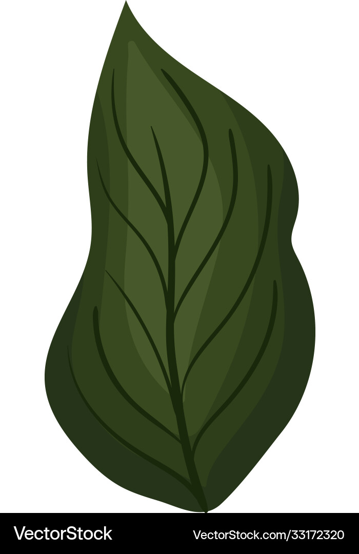 Dark green leaf painting design Royalty Free Vector Image