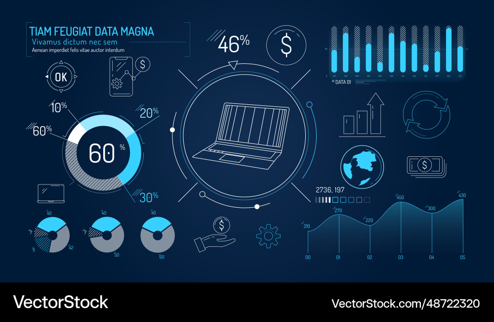 Set of infographic elements about the dollar Vector Image