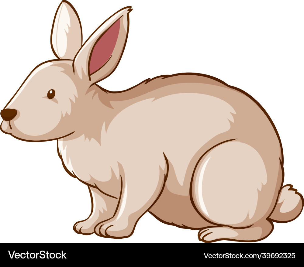 White rabbit animal cartoon on background Vector Image