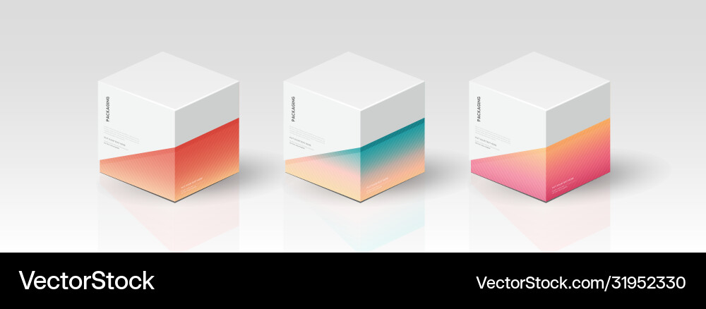 Box packaging template for product design Vector Image