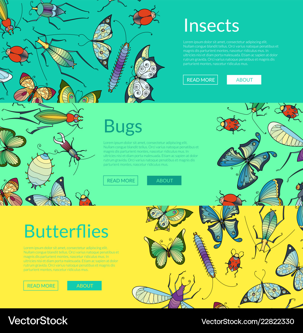 Hand drawn insects of set colored Royalty Free Vector Image