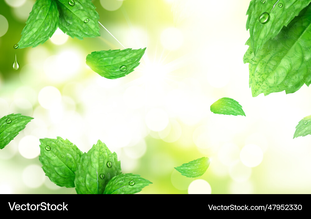 Peppermint bokeh background Royalty Free Vector Image