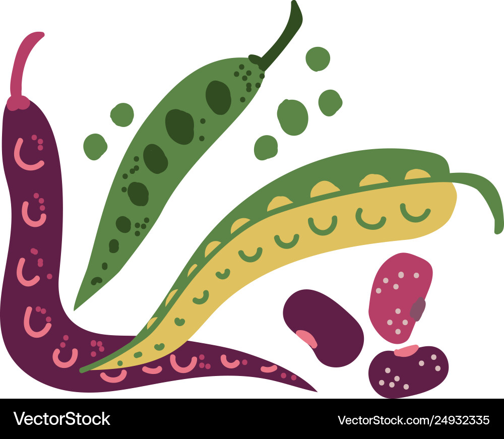 Green bean varieties fresh vegetable organic Vector Image