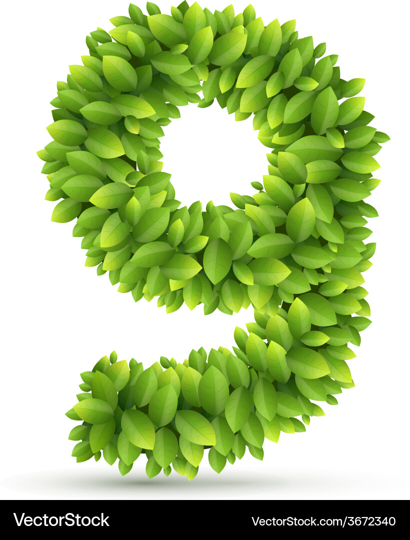 Number alphabet green leaves Royalty Free Vector Image