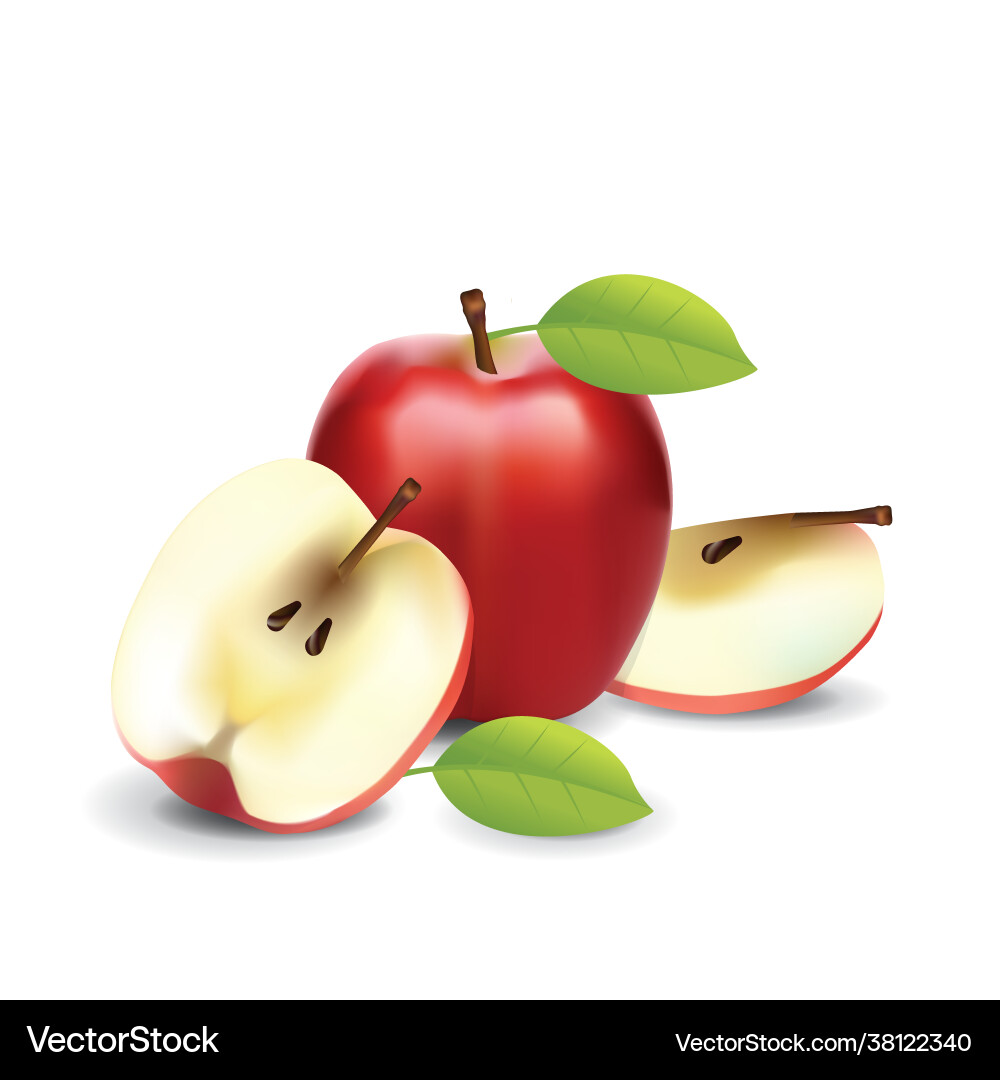 Red apple healthy organic fresh fruit summer Vector Image