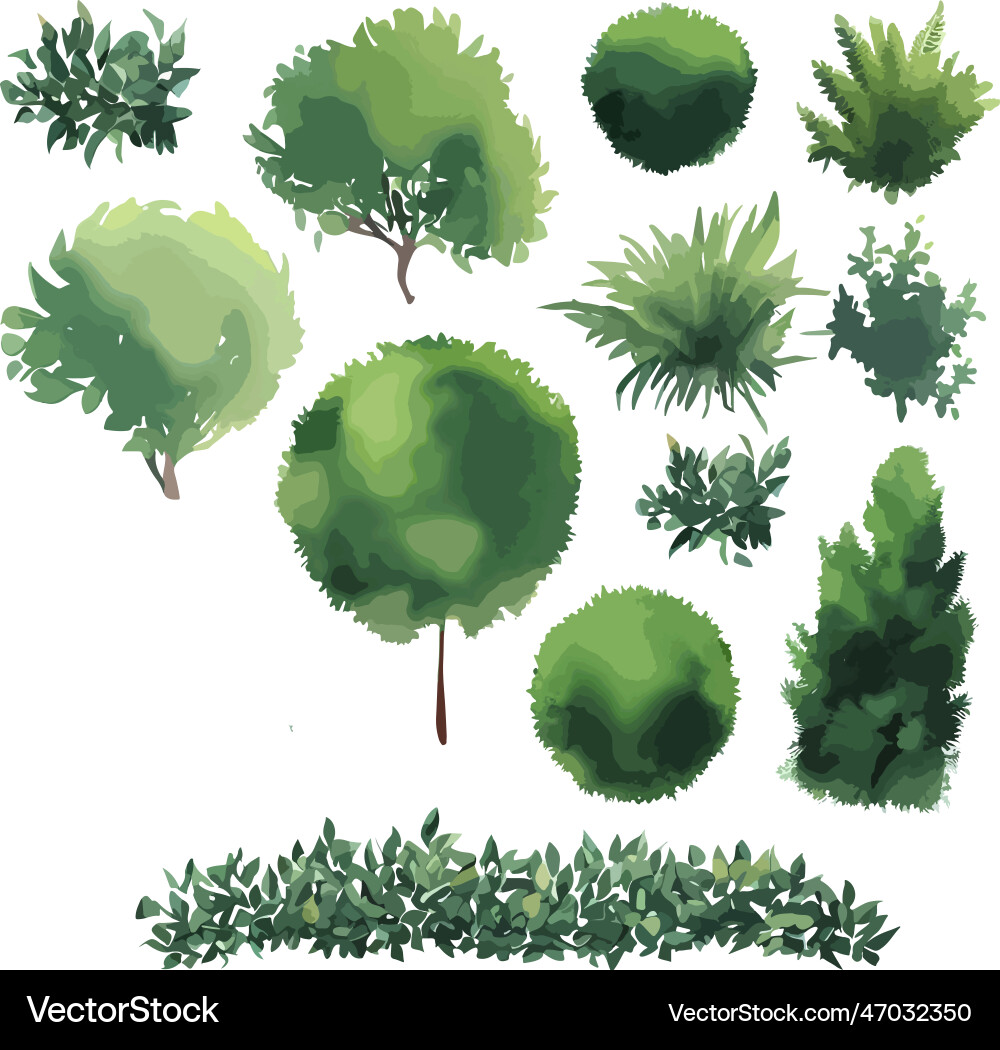 Pretty trees bushes shrubs top view Royalty Free Vector