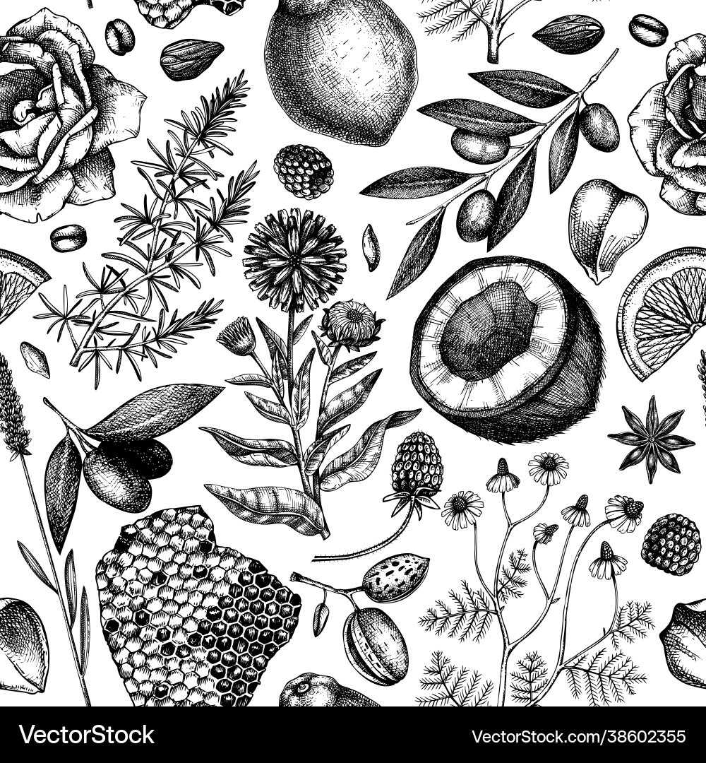 Hand-sketched soap design natural ingredients Vector Image