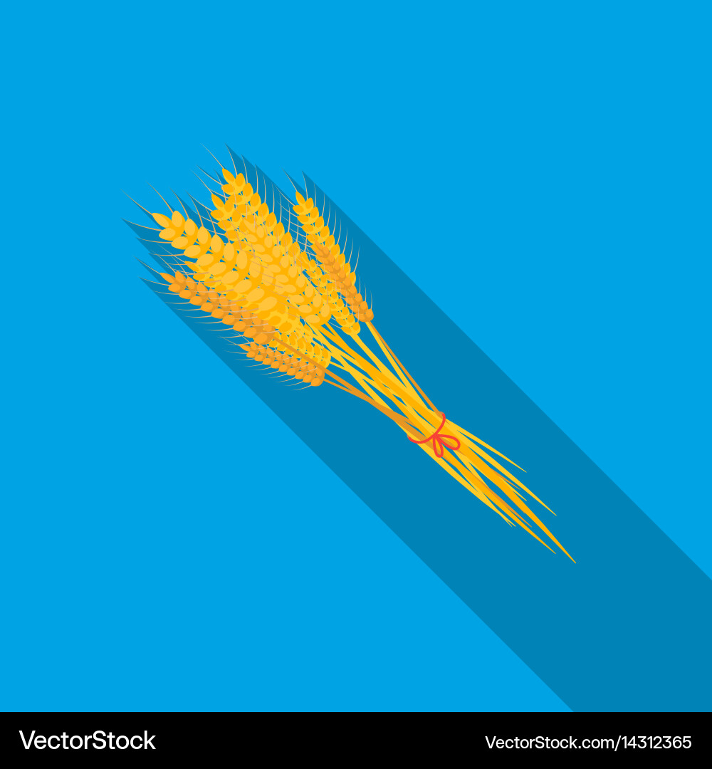 Bundle of wheat icon in flate style isolated Vector Image