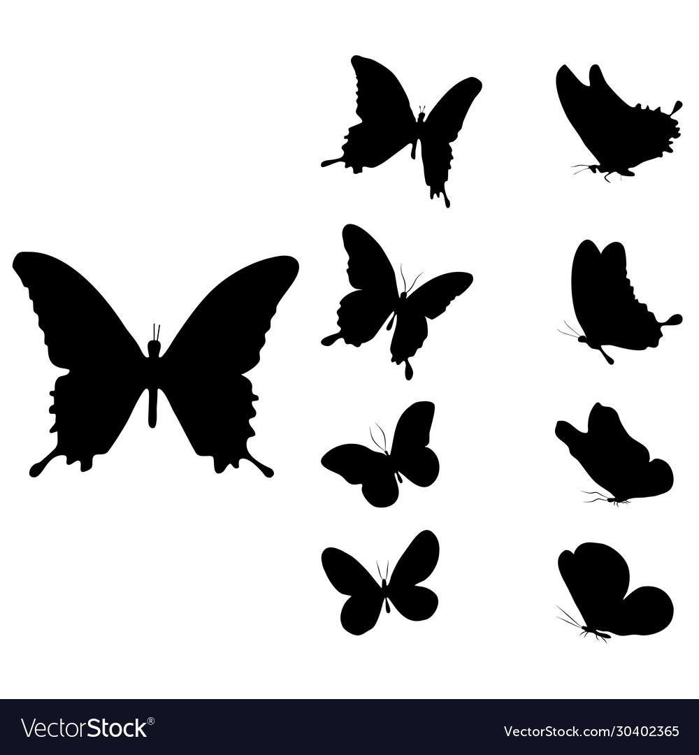 Butterfly Silhouette Set Design On Transpant Vector Image
