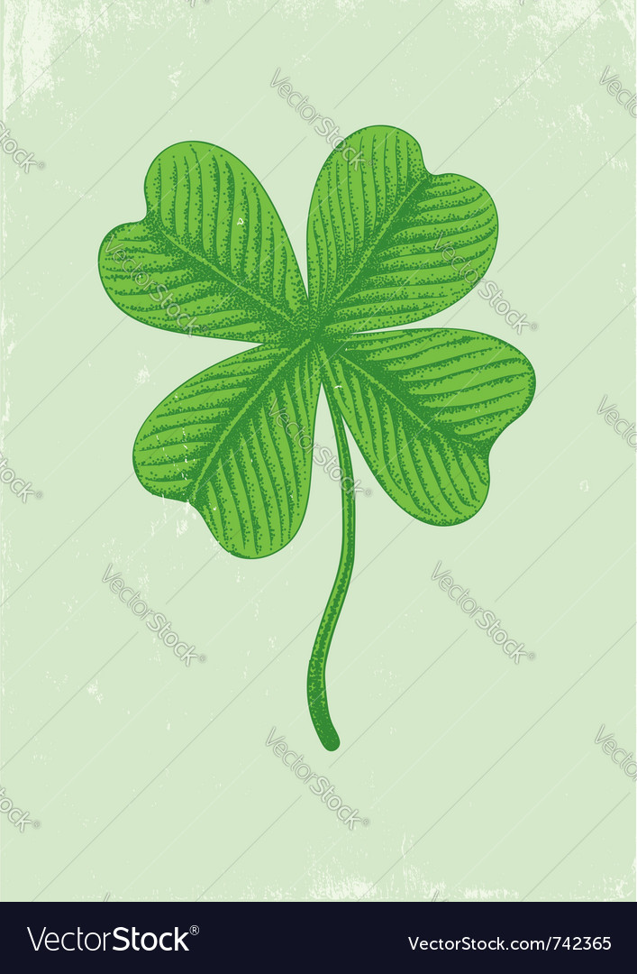 Clover Royalty Free Vector Image - VectorStock
