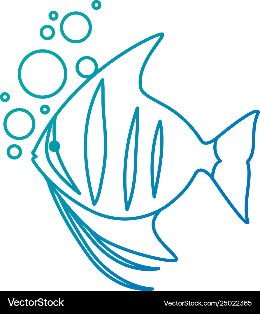 Cute ornamental fish with air bubbles Royalty Free Vector