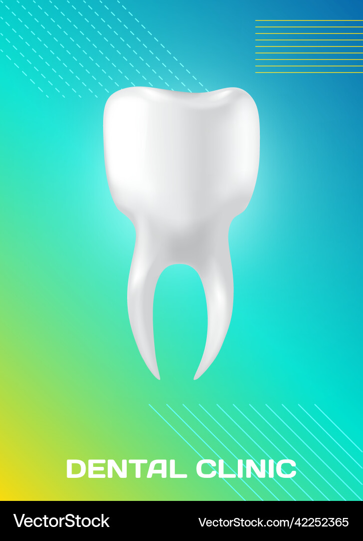 Human gum with healthy teeth and denture Vector Image