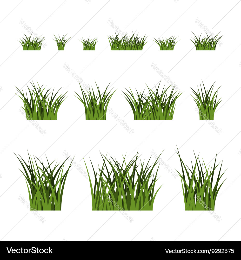 Green grass bushes set plant isolated Royalty Free Vector