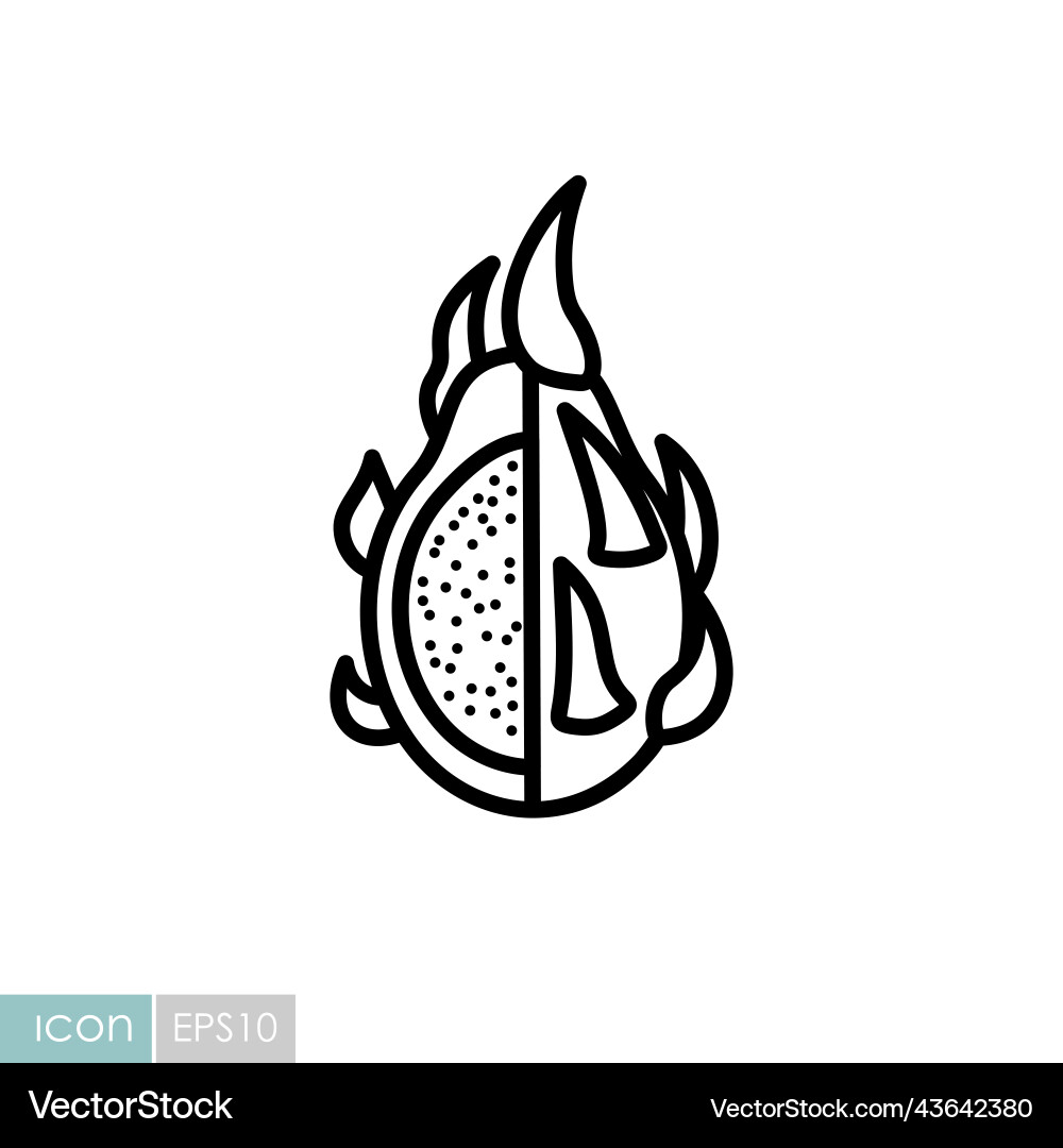 Dragon fruit pitaya or pitahaya tropical fruit Vector Image