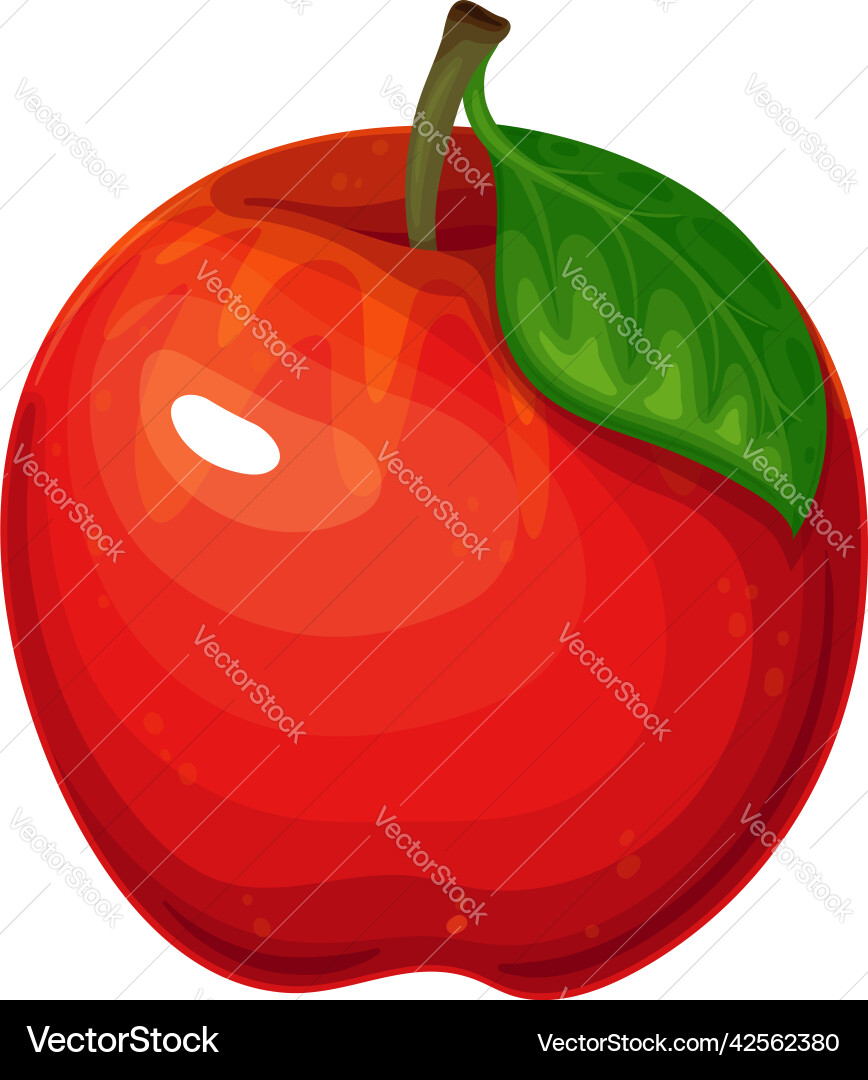 Red apple fruit Royalty Free Vector Image - VectorStock