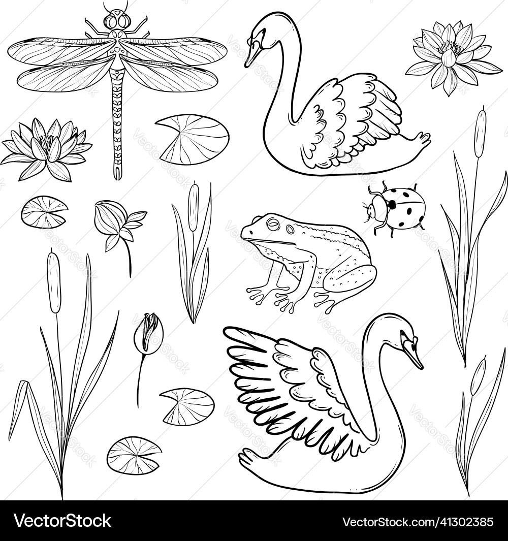 Set of elements represents water wildlife Vector Image