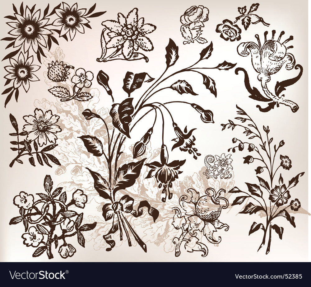 Vintage floral Royalty Free Vector Image - VectorStock