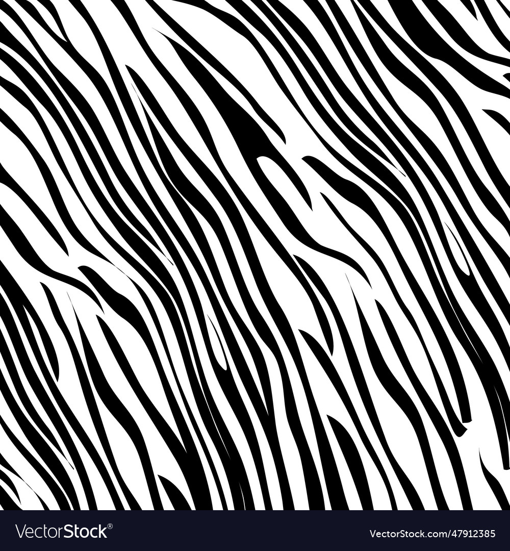 Zebra stripe pattern Royalty Free Vector Image