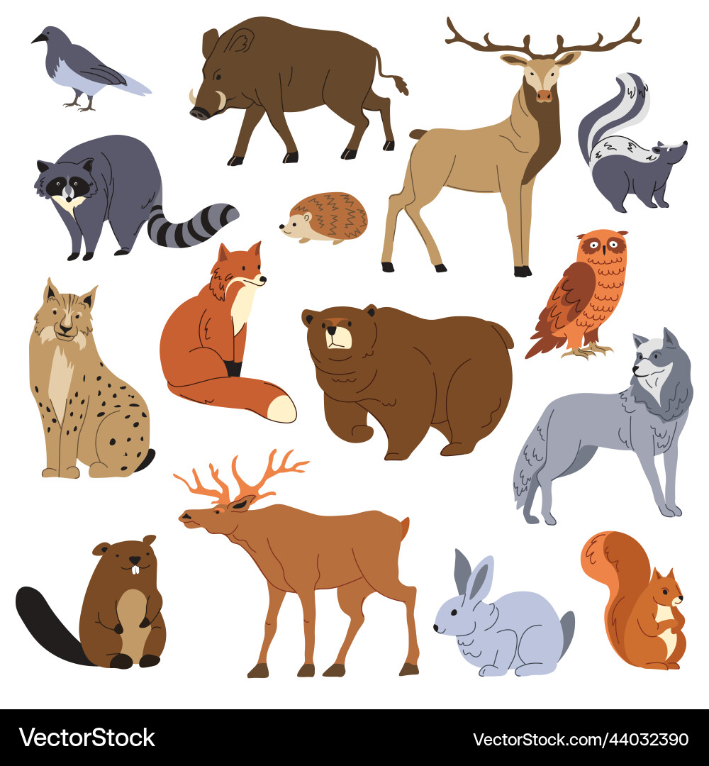 Forest animals raccoon and fox bear deer Vector Image