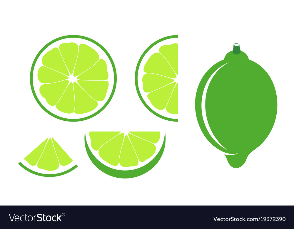 Lime Royalty Free Vector Image - VectorStock