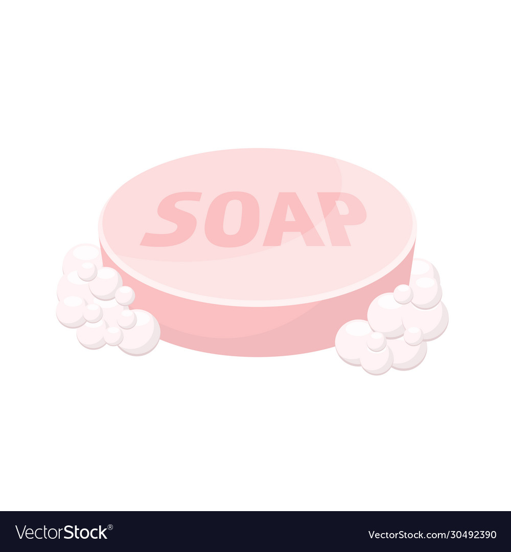 Solid soap for washing Royalty Free Vector Image