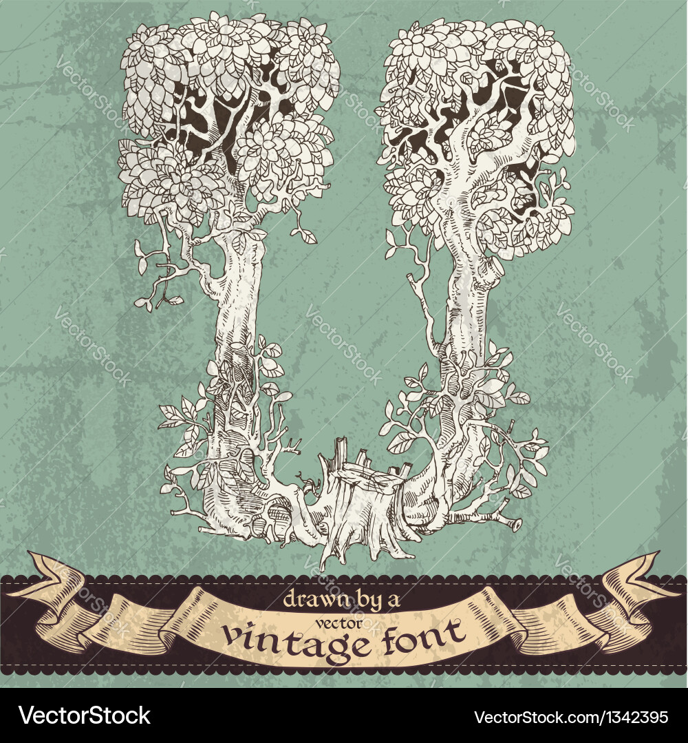 Magic grunge forest hand drawn a vintage font Vector Image