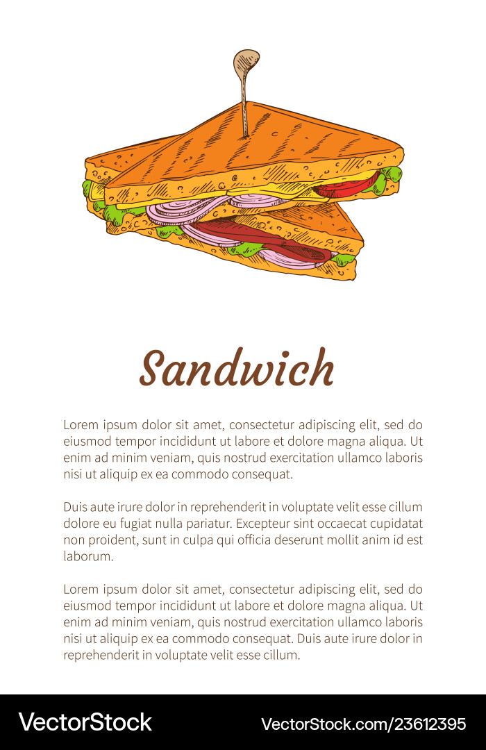 Sandwich snack isolated color Royalty Free Vector Image