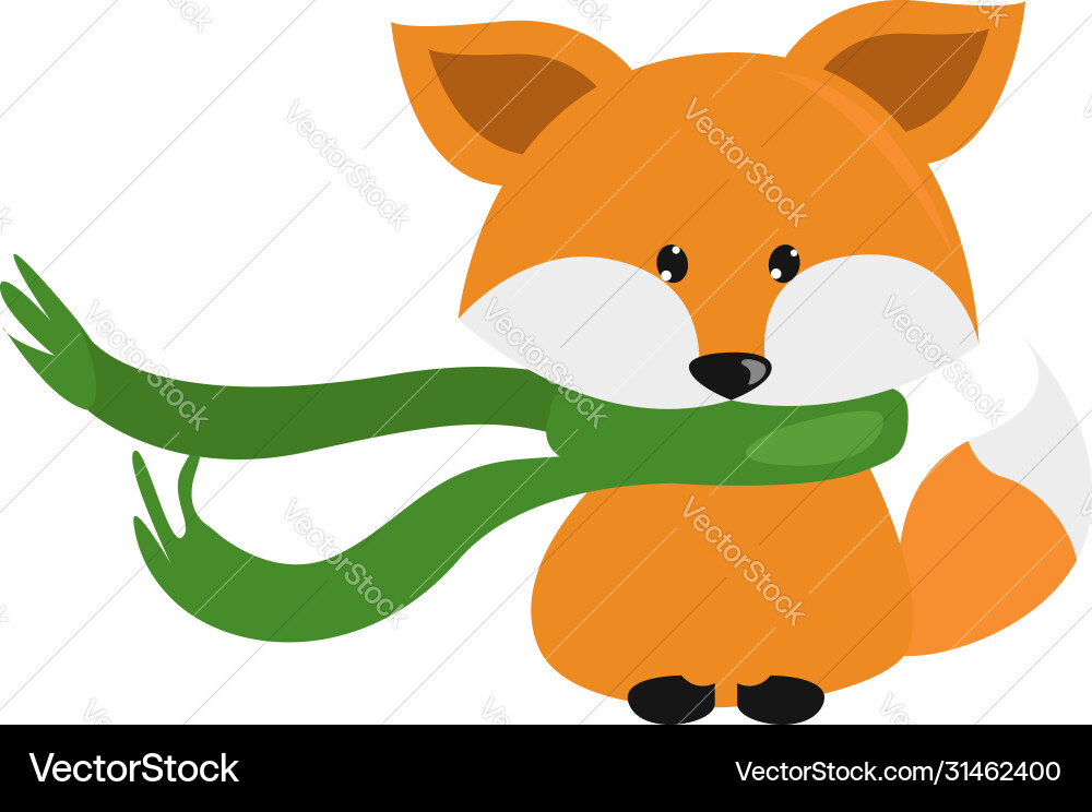 Fox with green scarf on white background Vector Image