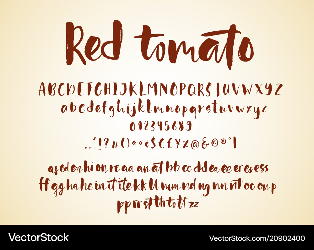 Red tomato handdrawn ink brush font Royalty Free Vector